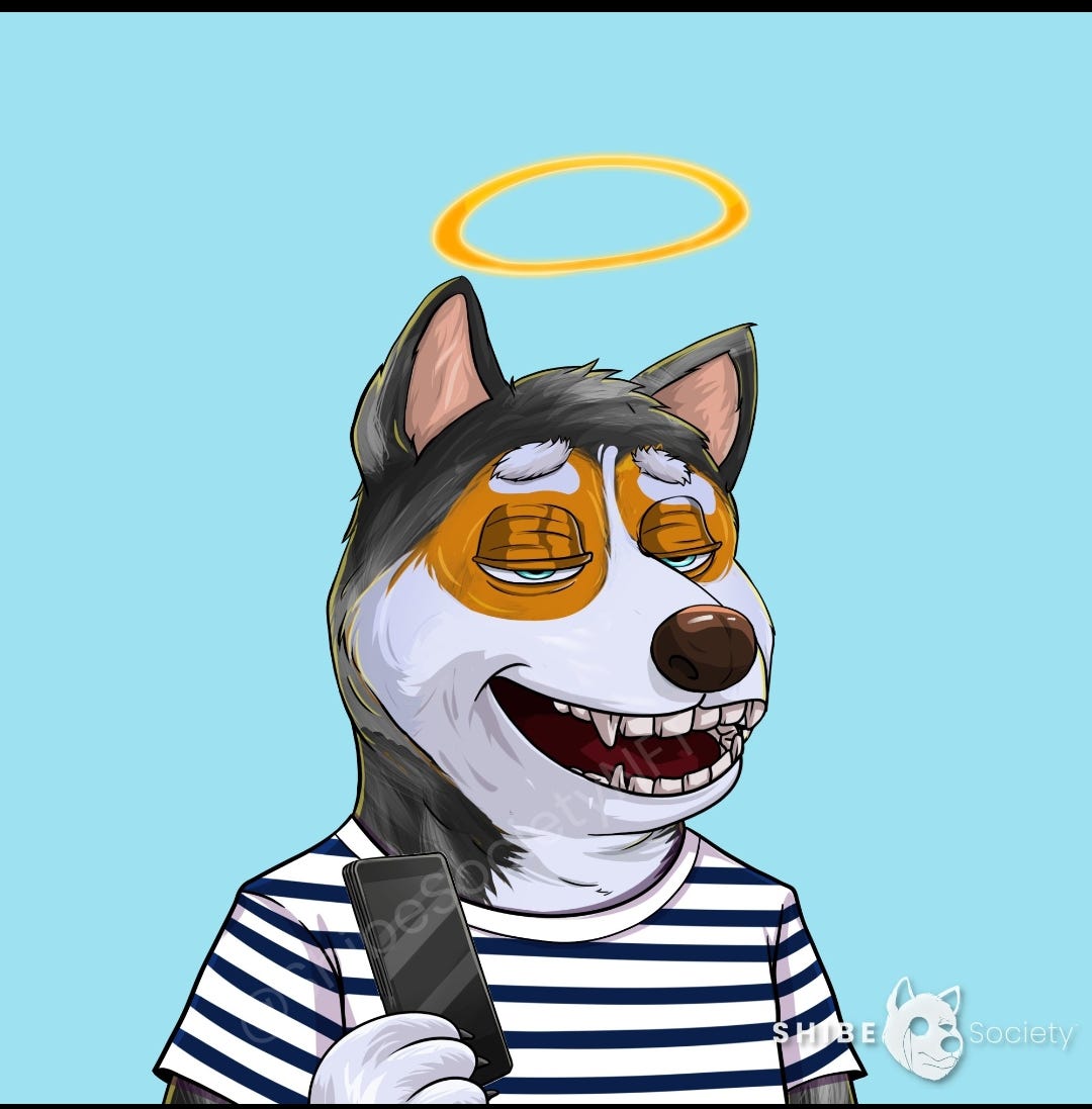 ShibeSociety project. Spot is one of the wealthiest Shibes… | by David ...