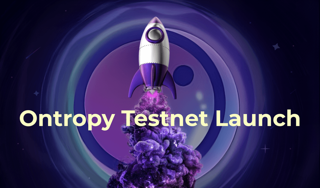 Introducing the Ontropy Network. Sending Gasless and Instant… | by Jessie Green Great | Medium