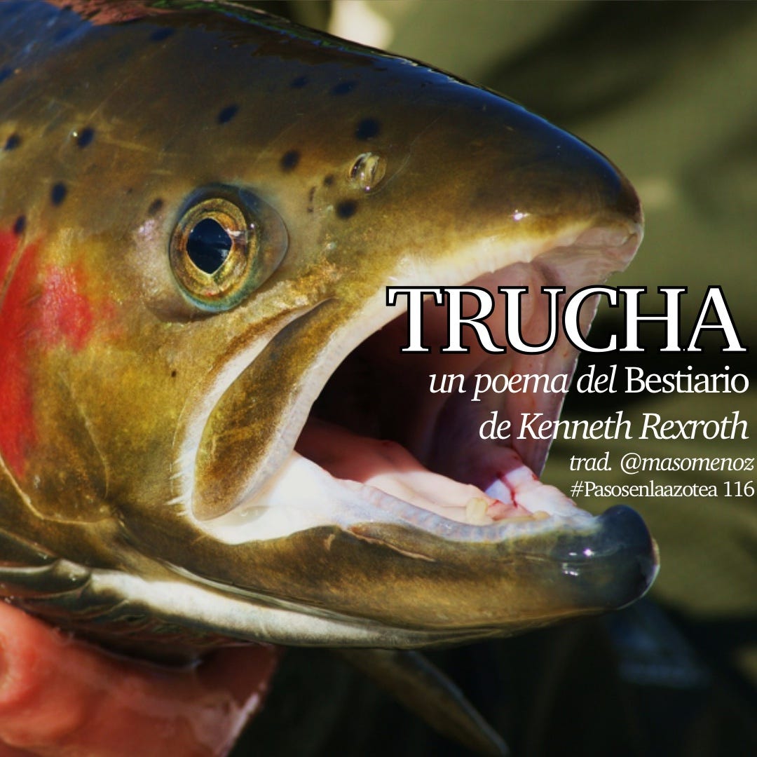 Trucha, un poema del Bestiario de Kenneth Rexroth, trad. Javier ...