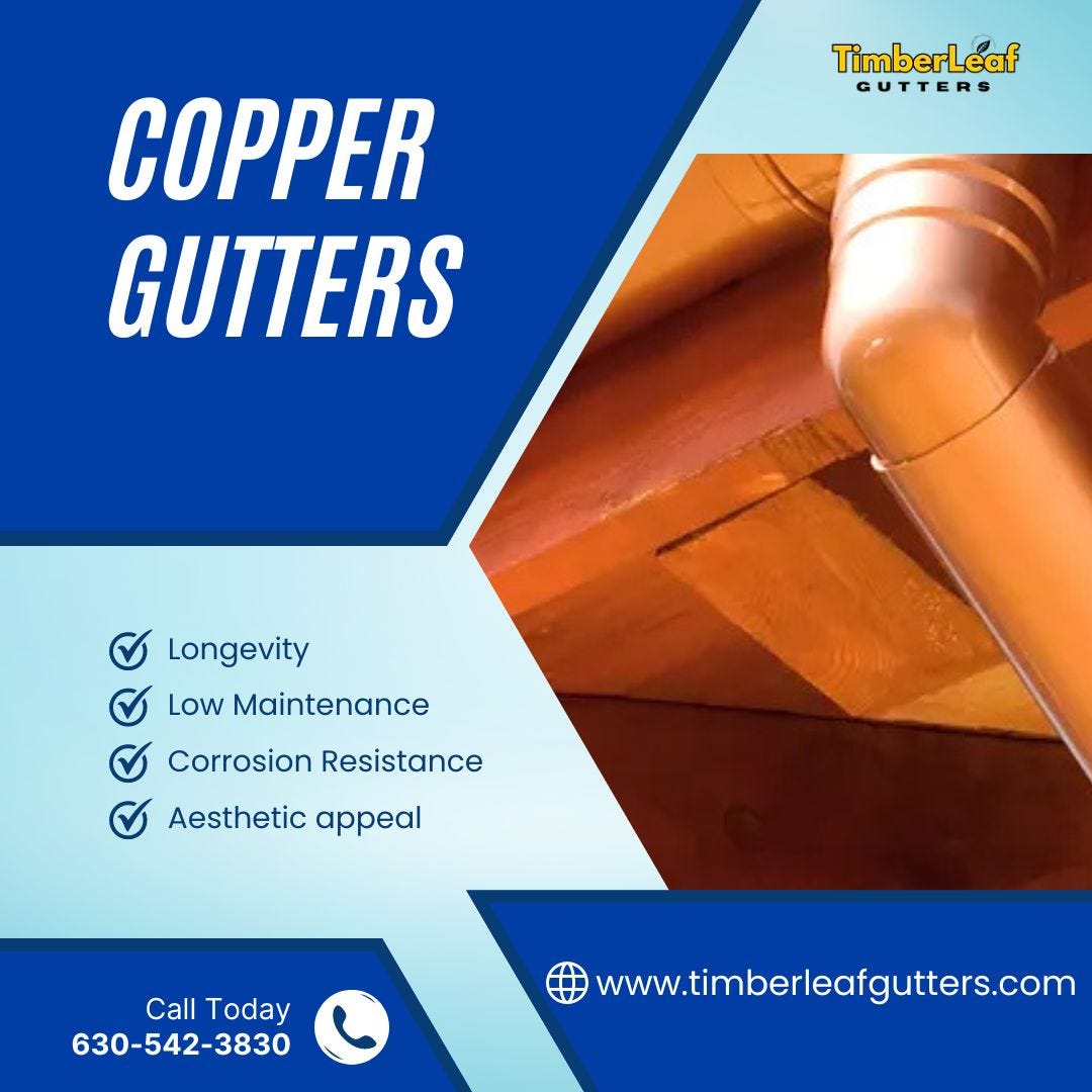How Can Gutter Services Protect Your Home in Roselle? | by Timber Leaf ...