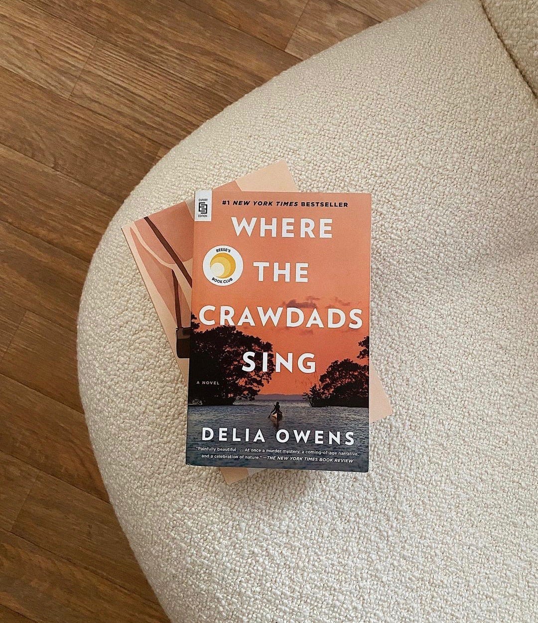 Where the Crawdads Sing I Book review by aelle.reads | Medium