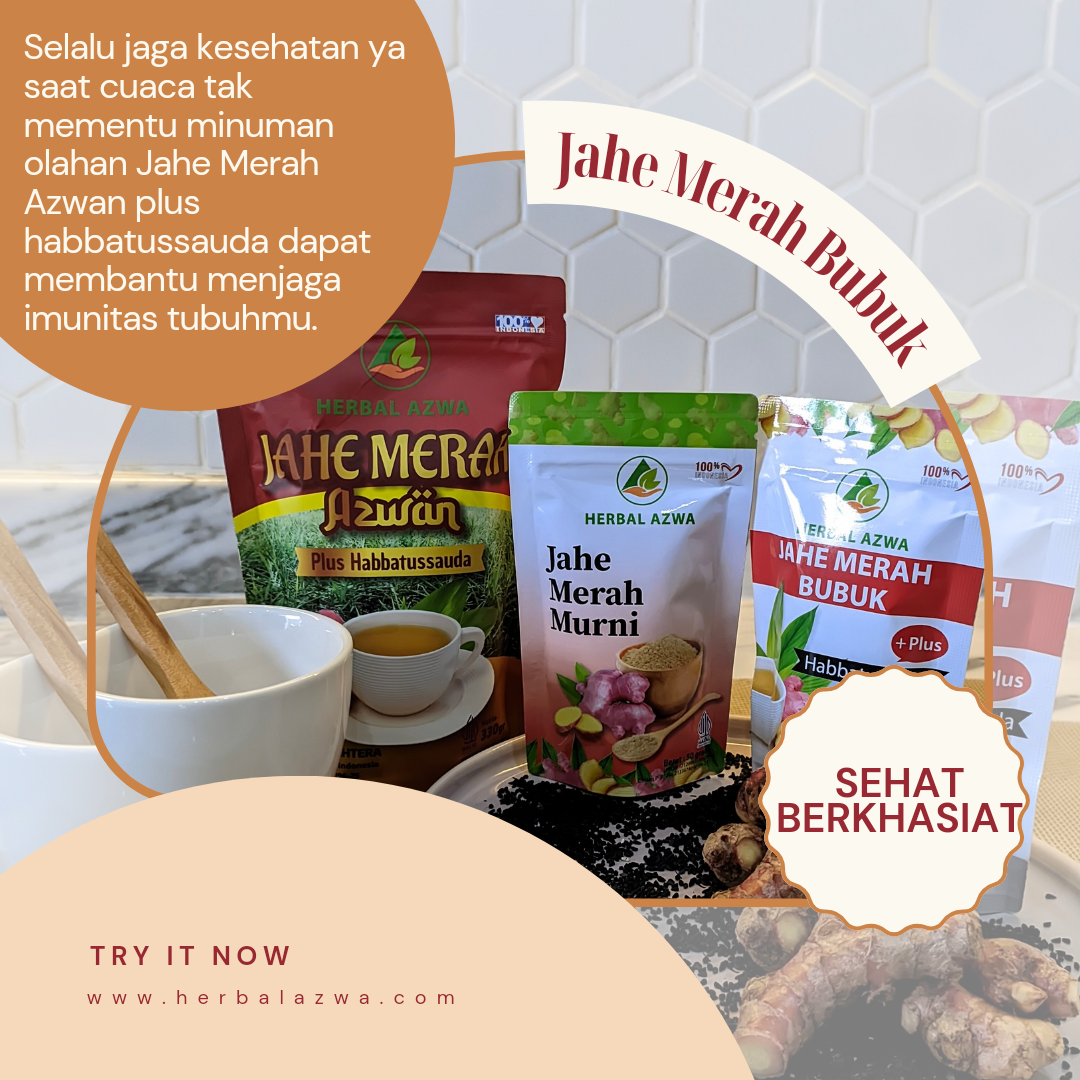 Cara menanam jahe merah di polybag | by Jahe Merah Herbal Azwa | Medium