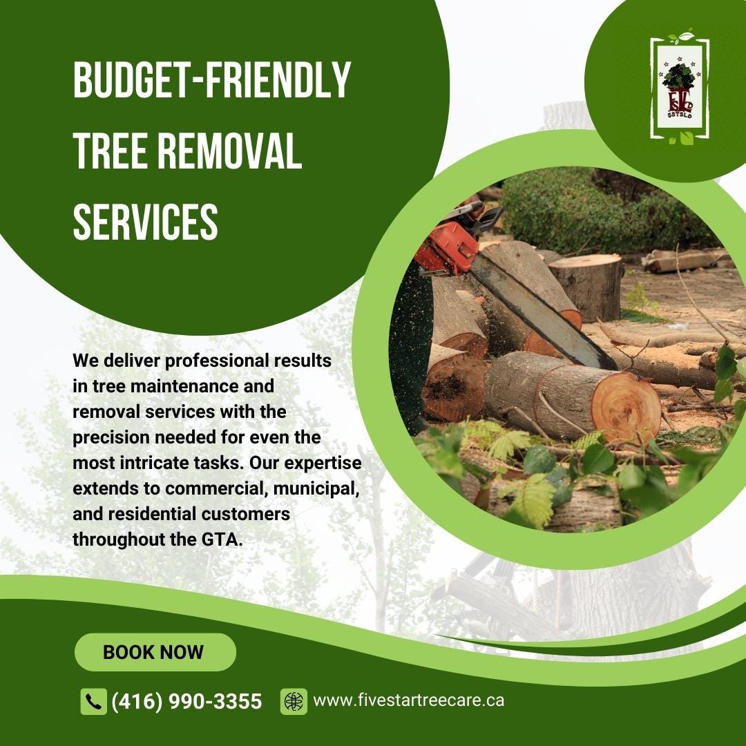Professional Tree Removal By Five Star Tree Services - Five Star Tree ...