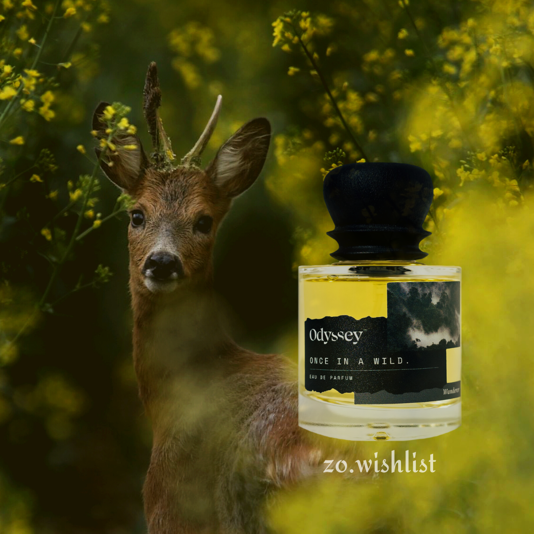 Odyssey.bkk: Once in a Wild - zo.wishlist - Medium