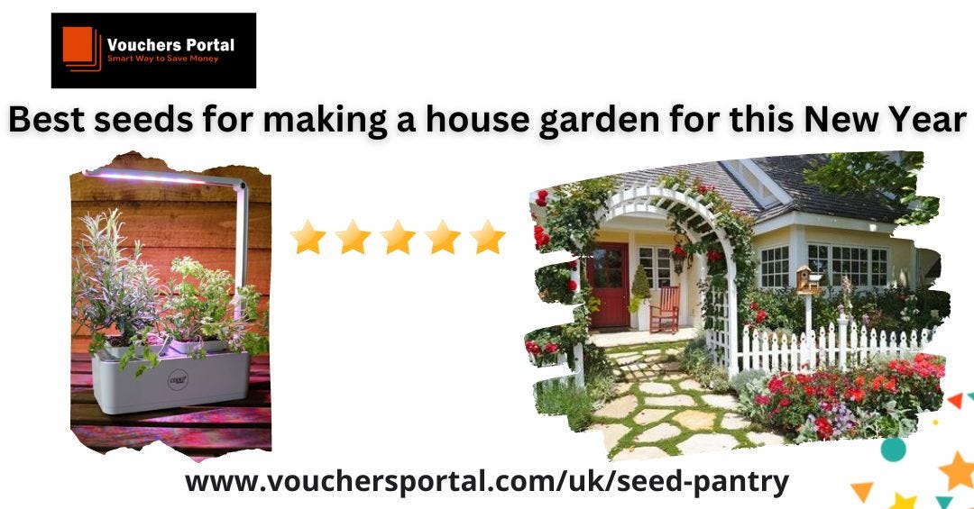 Best seeds for making a house garden for this New Year | by Julie Wong ...
