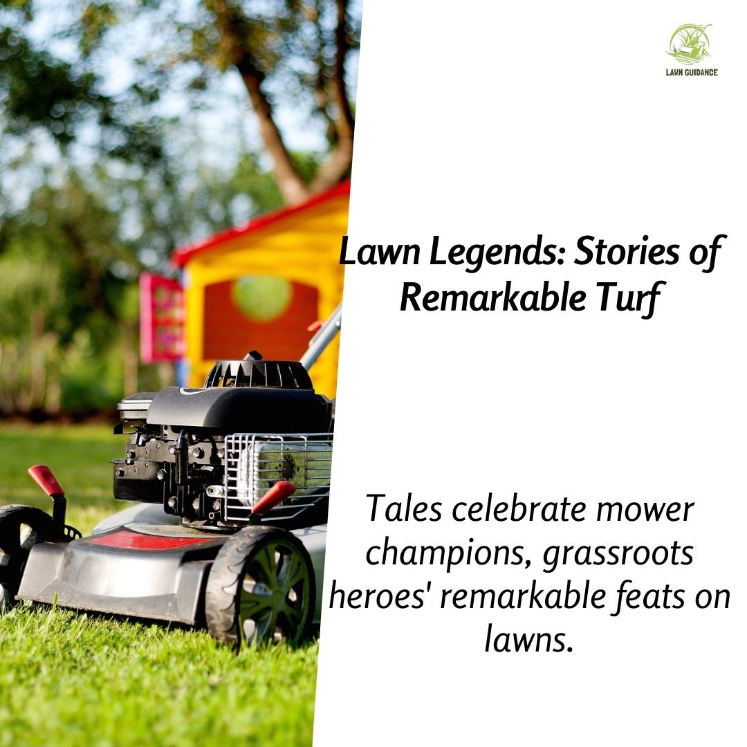 Lawn Legends: Stories of Remarkable Turf - James M. Chew - Medium