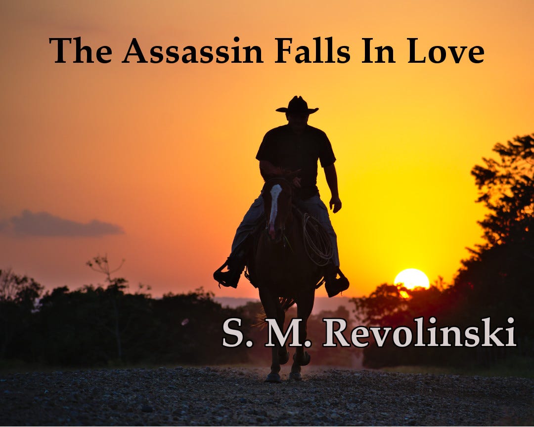 The Assassin Falls In Love. It had not occurred to him how deeply… | by ...