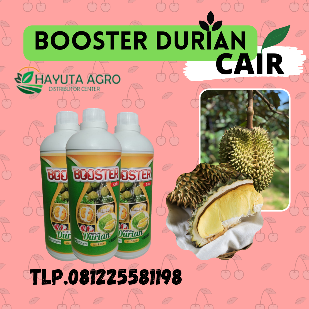 termurah, call 0812–2558–1198 BOOSTER DURIAN CAIR 500 ML distributor ...