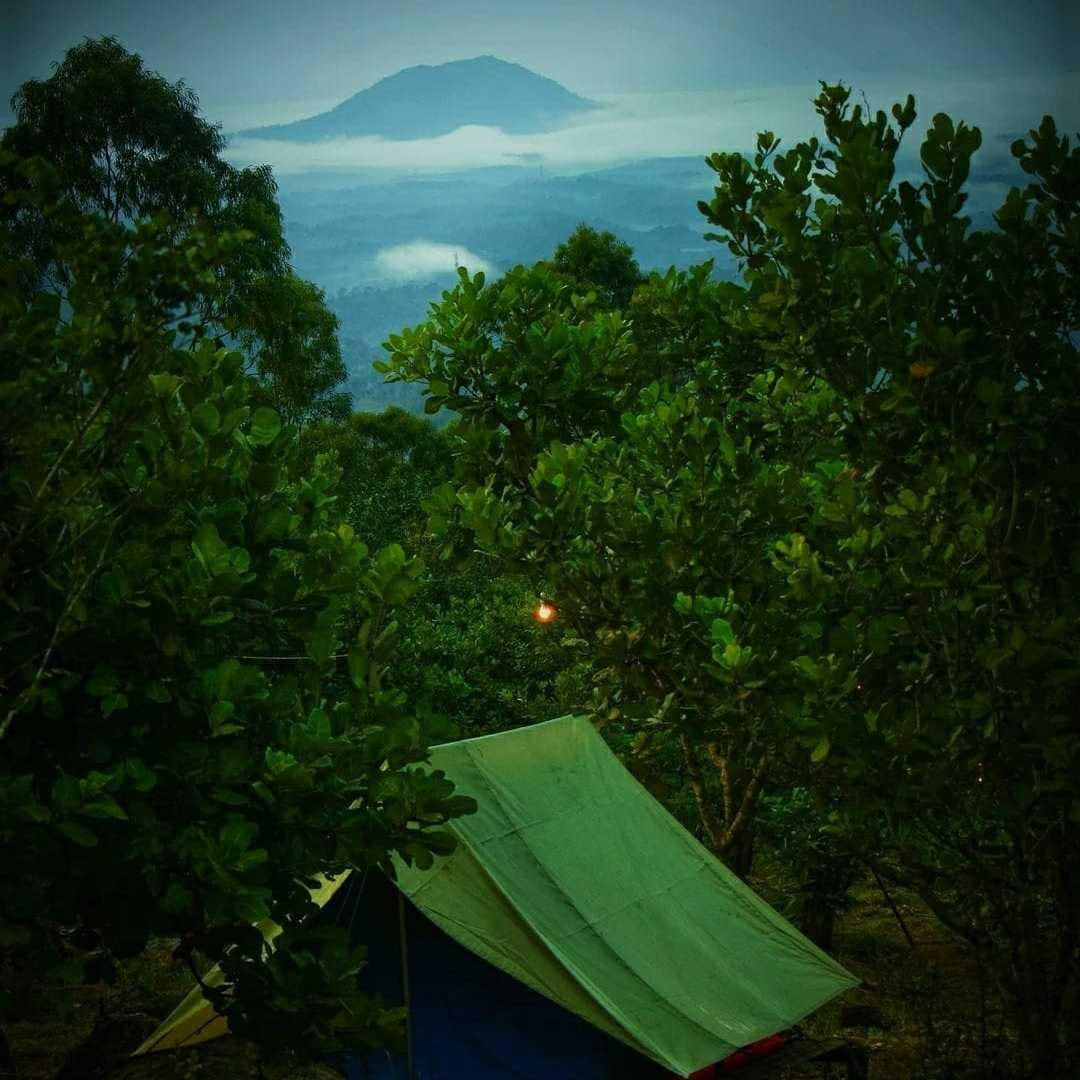 Best Forest Stay Wayanad. Stay at the best forest tent camping in… | by ...