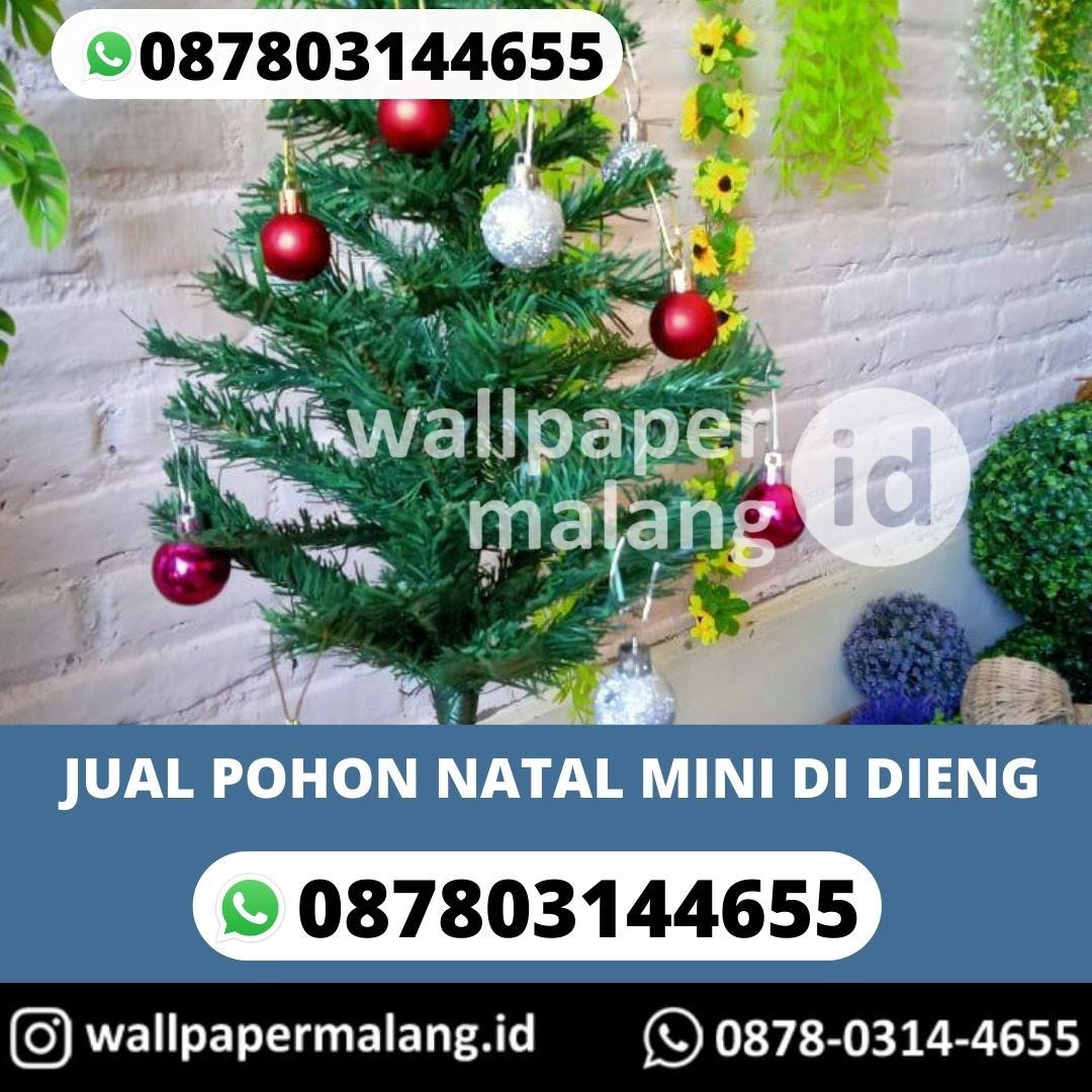 JUAL POHON NATAL MINI DI DIENG. Pohon Natal adalah hari perayaan… | by ...