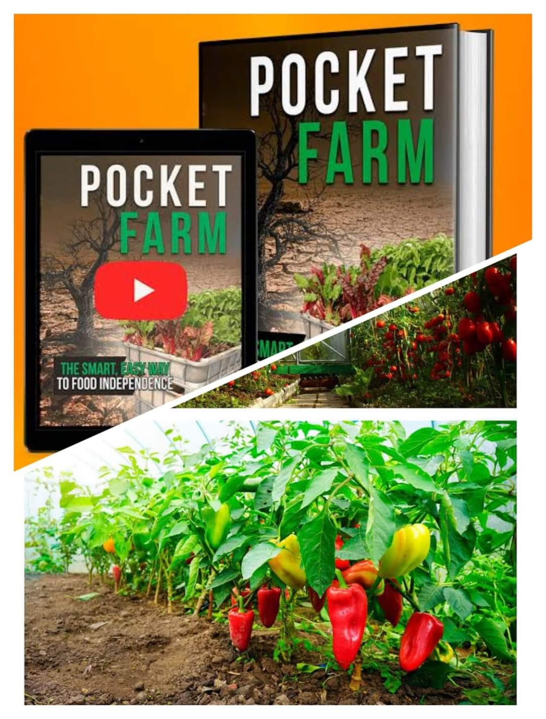 pocket farm. As the world’s population continues to… | by review 2024 | Apr, 2024 | Medium