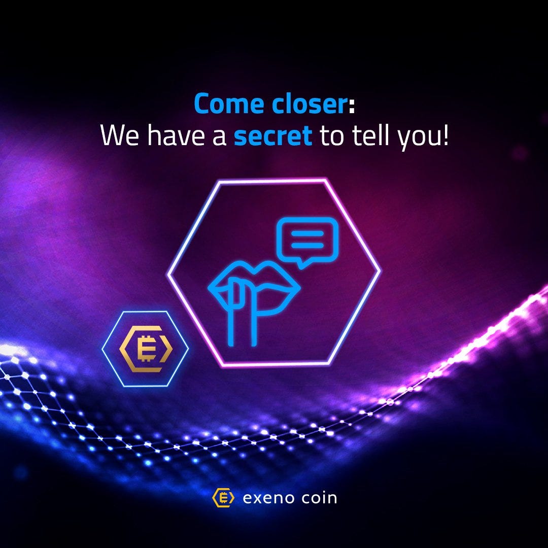The exeno universe. exeno is an organization that aims to… | by Answer ...