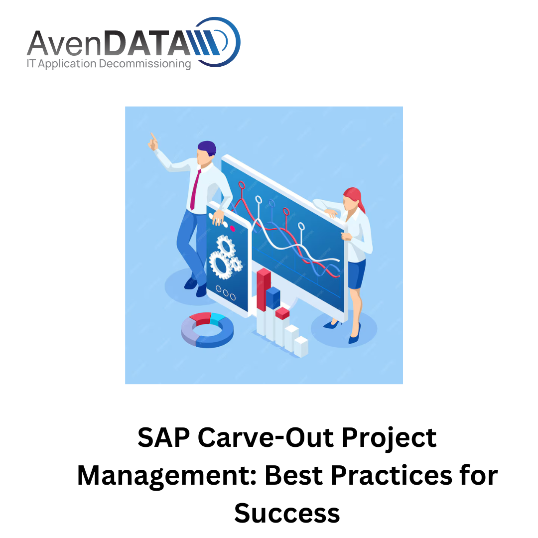SAP Carve-Out Project Management: Best Practices for Success | by avendata | Medium