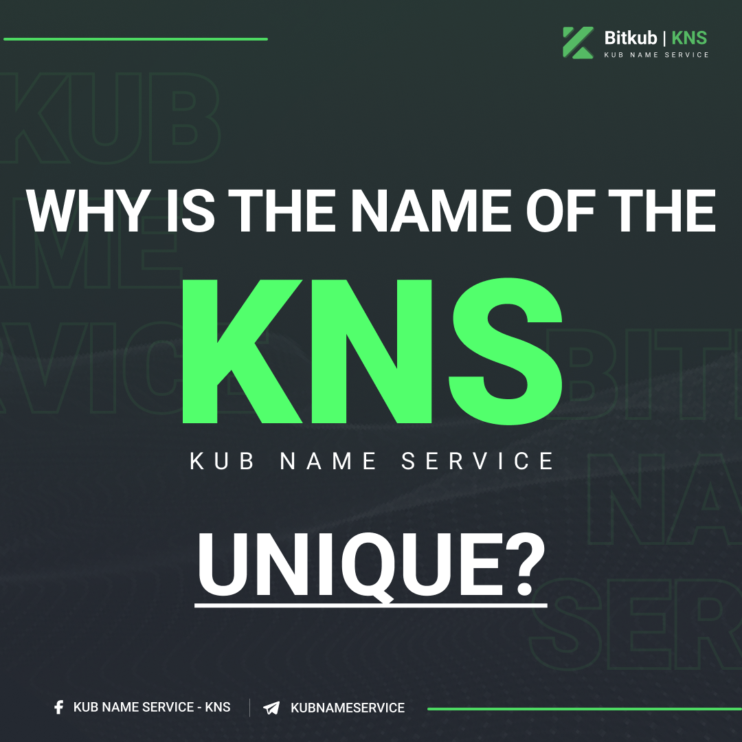 Why is the name of the KUB Name Service unique? - KUB Name Service ...