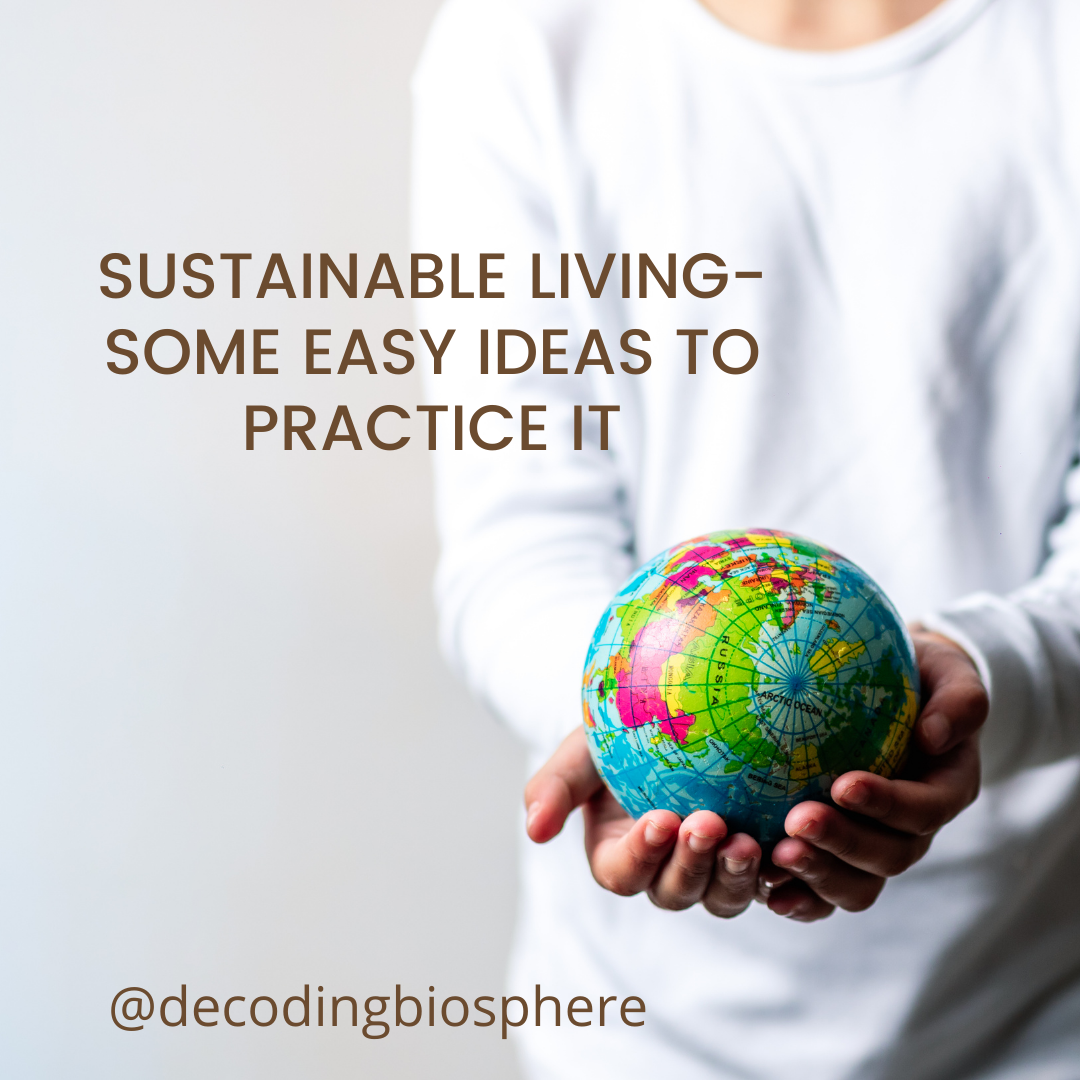 Sustainable Living- Some easy Ideas to Practice it | by Apurva Goel ...