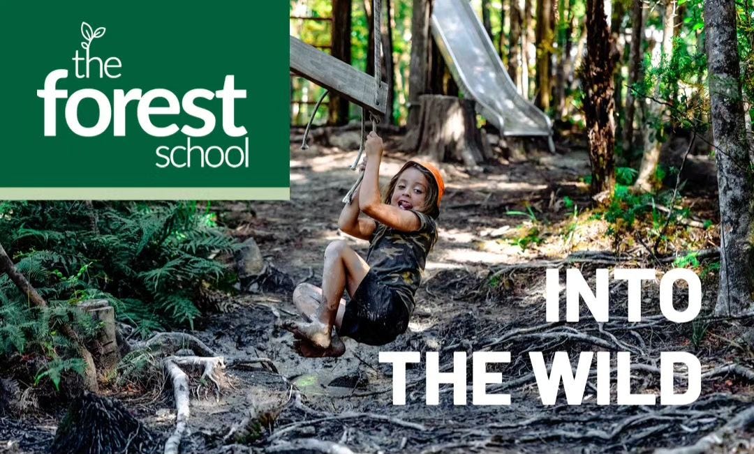 The Importance of Nature-Based Education in Early Childhood Development ...