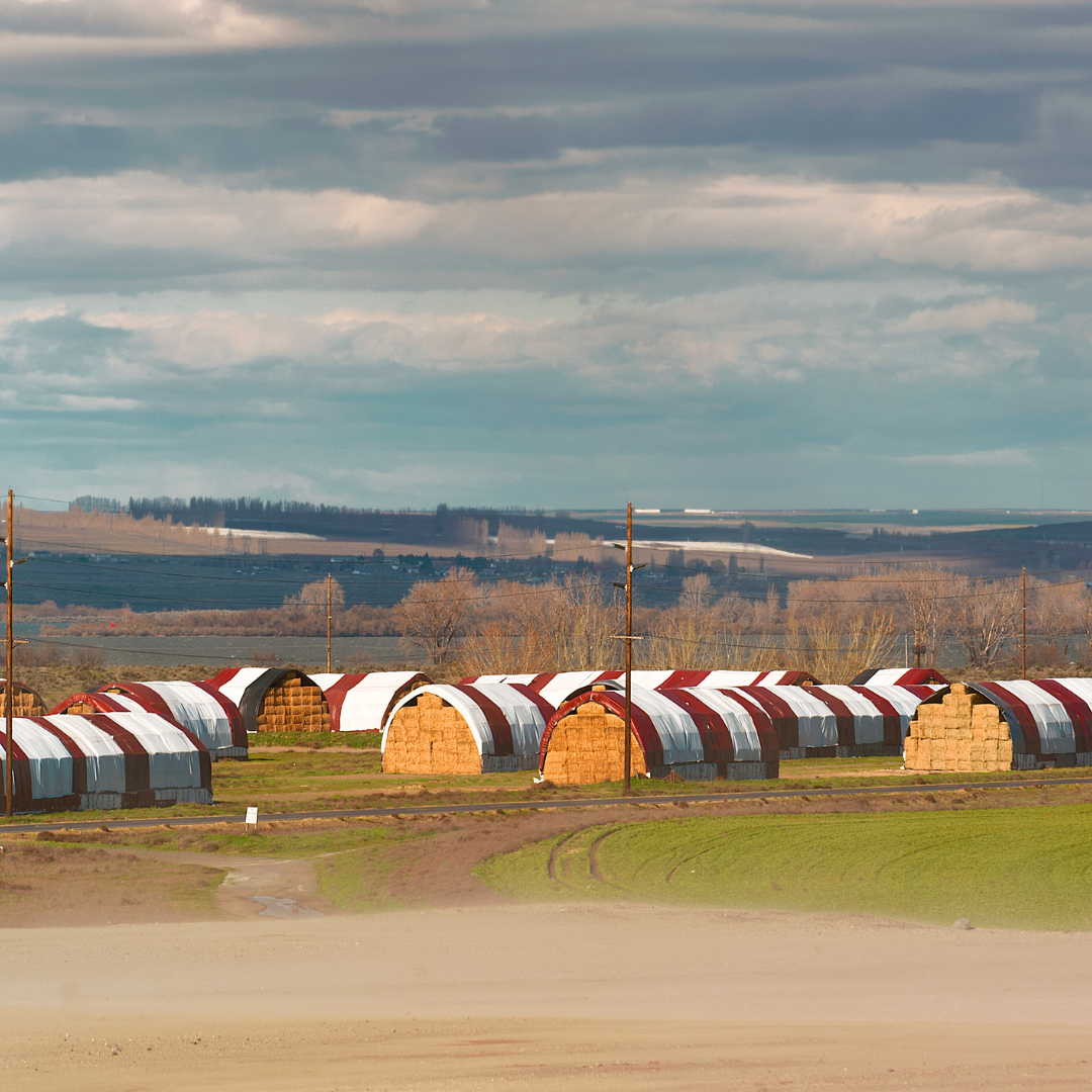Custom Tarps in Agriculture: Protecting Crops and Livestock | by Nate ...