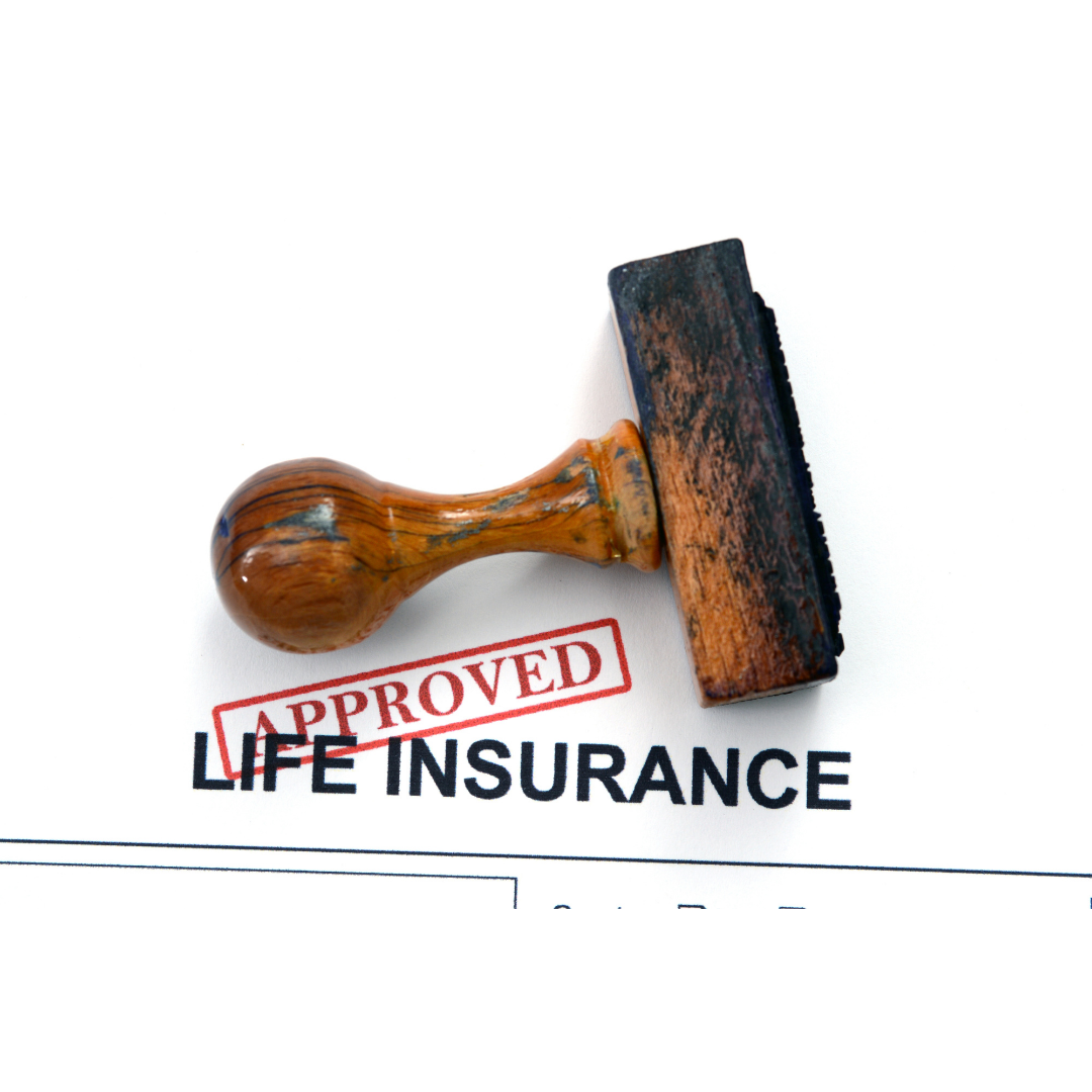 What are the Basics of Life Insurance? | by Jiggss E Cat | Medium