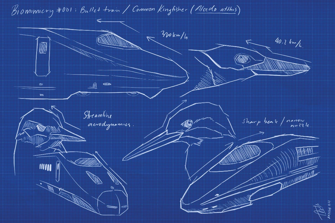 Biomimicry and Sustainable Transportation | DtKT | Medium