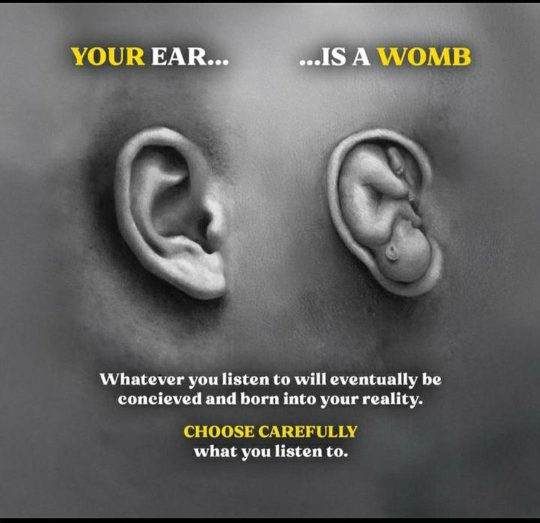 Your Ear, Your Womb | by Alashe Monsurat MorounmubolatiodoOluwa | Medium