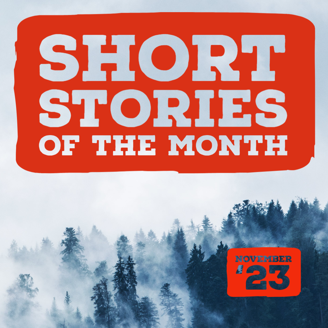 Short stories of the month — Nov ‘23 | by Paul O'Neill | Dec, 2023 | Medium