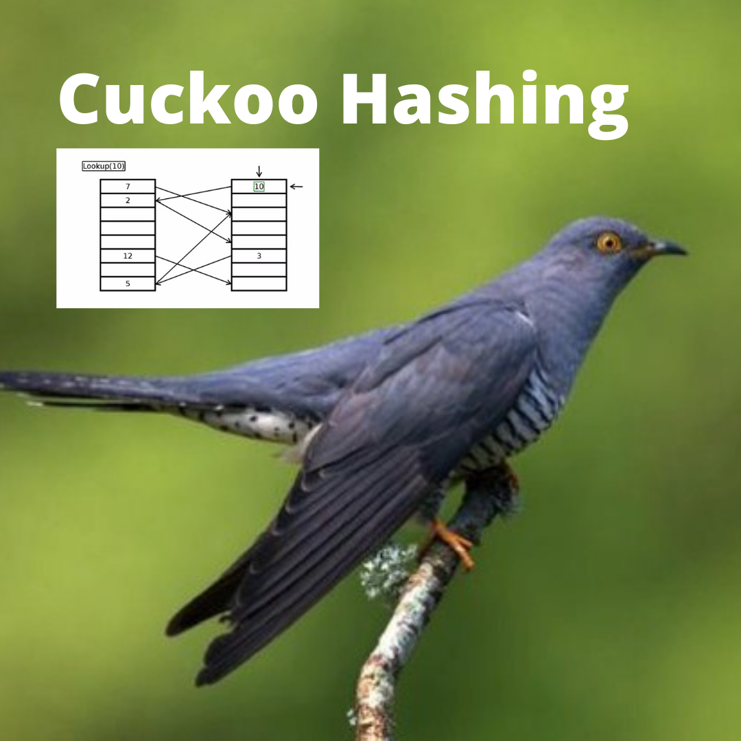 Cuckoo Hashing | by Dhaneshwar Kumar | Medium