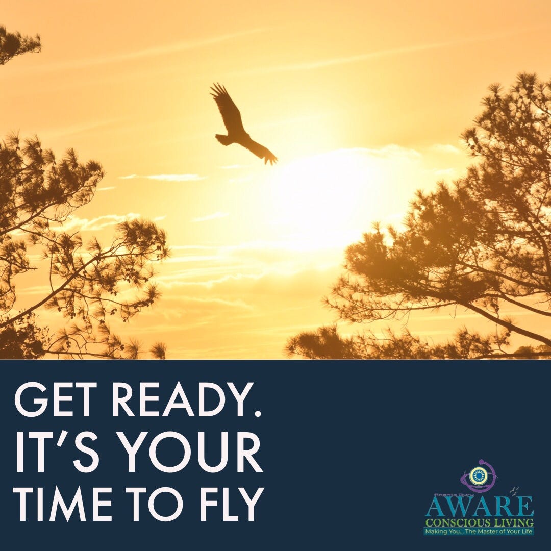 Say goodbye to self-doubt. It’s your time to fly…. | by Ruth Haslett ...