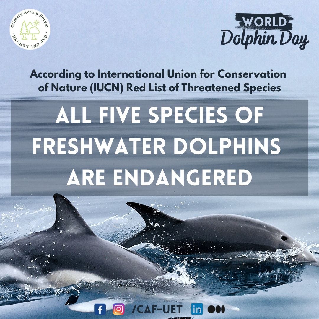 International Freshwater Dolphin Day: Celebrating the Unique and ...