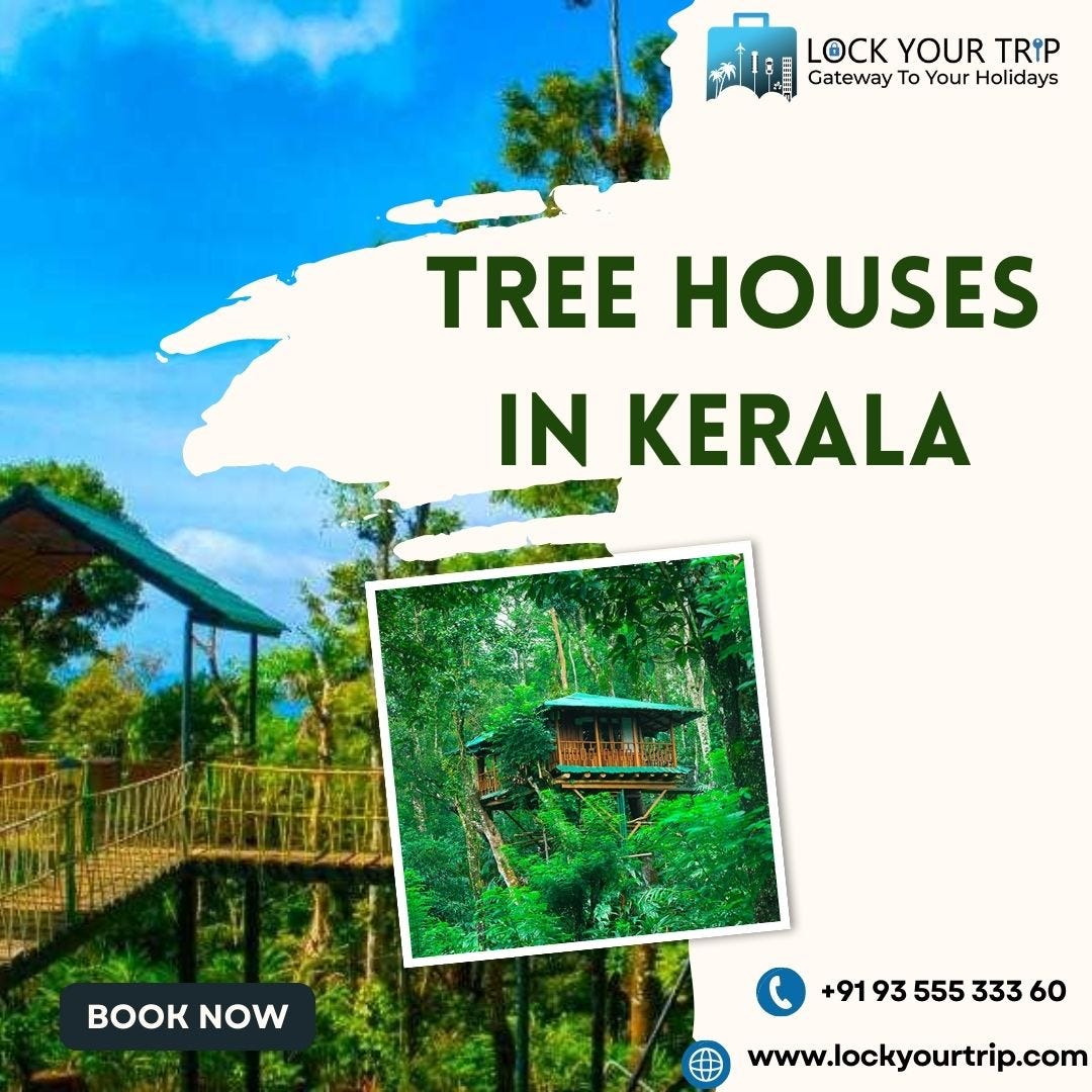 Elevated Escapes: Experiencing the Magic of Kerala Tree Houses with ...