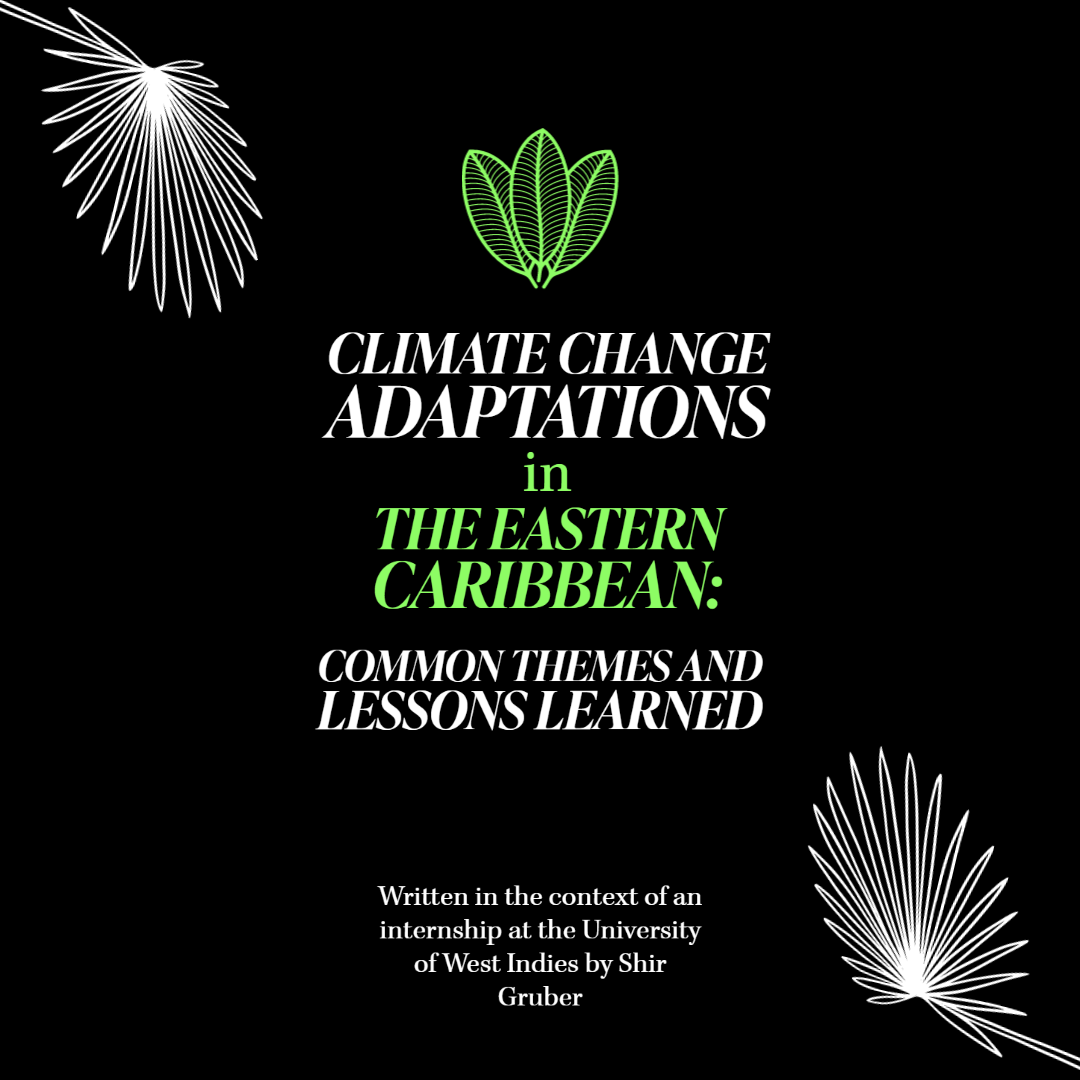 Climate change adaptions in the Eastern Caribbean: common themes and ...