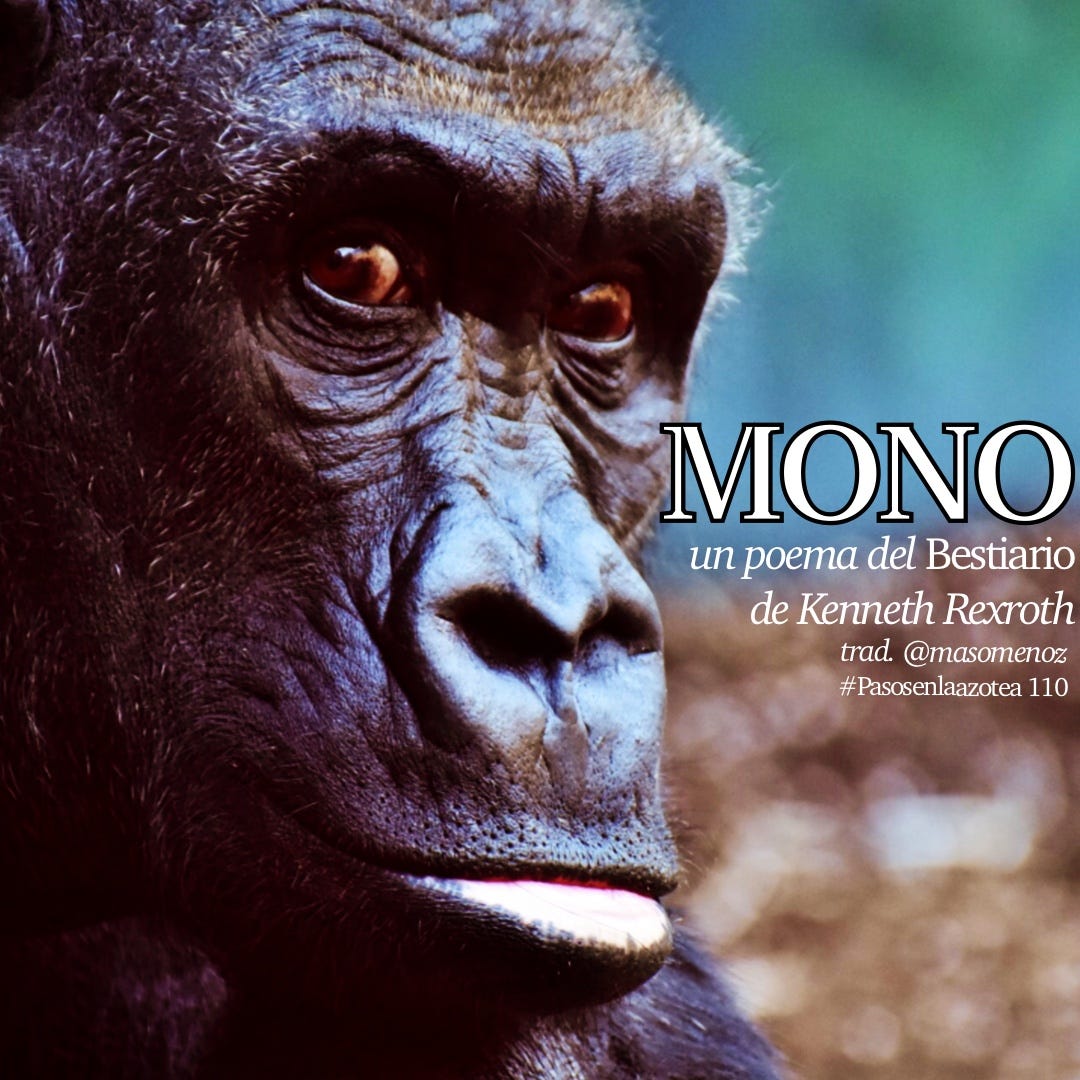 Mono, un poema del Bestiario de Kenneth Rexroth, trad. Javier Norberto ...