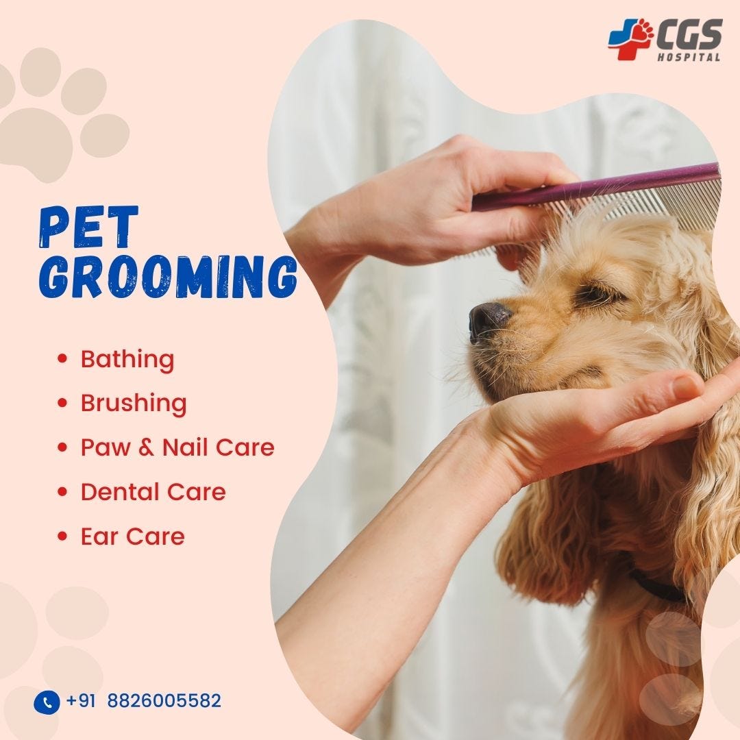 Grooming Services for Pets in Gurgaon | CGS Hospital - cgs hospital ...