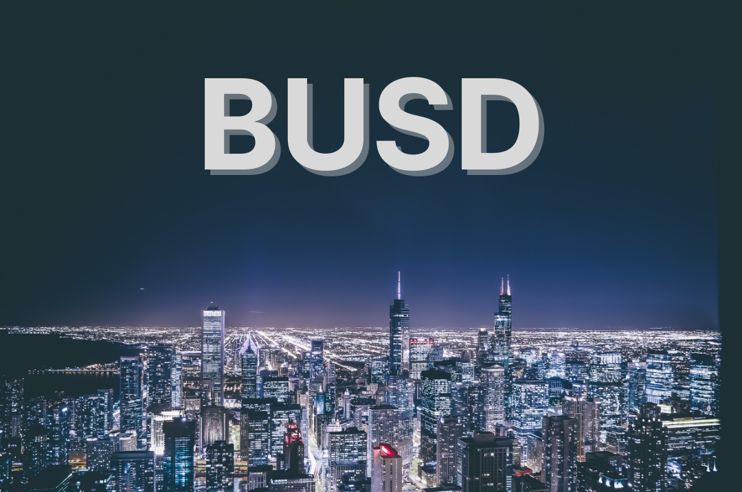 Understanding BUSD: The Stablecoin Making Waves in the Crypto Space ...