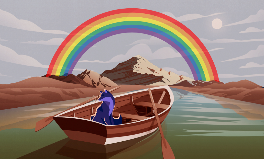 Rainbow Mode: Your Portfolio in Full Color | by ShapeShift | Medium