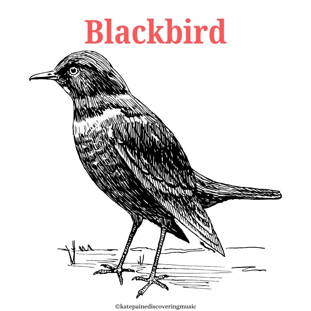 Singing in the dead of night. Summer musical makeover: Blackbird | by ...