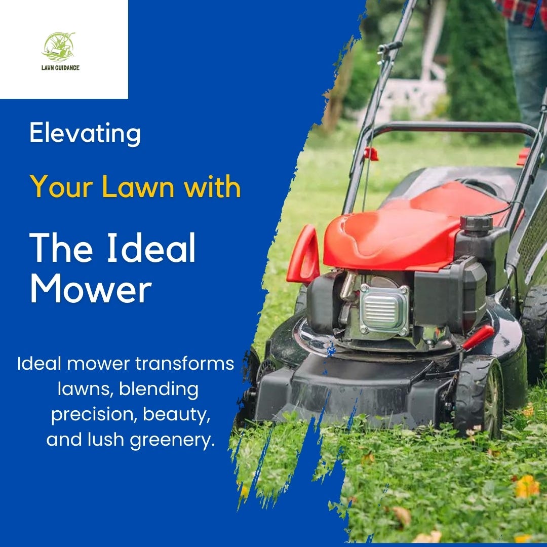 Look at Down Mower Excellence - James M. Chew - Medium