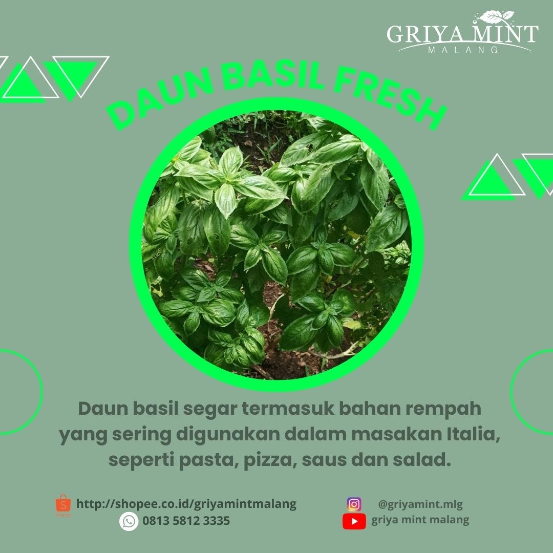 BASIL FRESH, PALING FRESH DI MALANG RAYA | by Griyamintgardenplant ...
