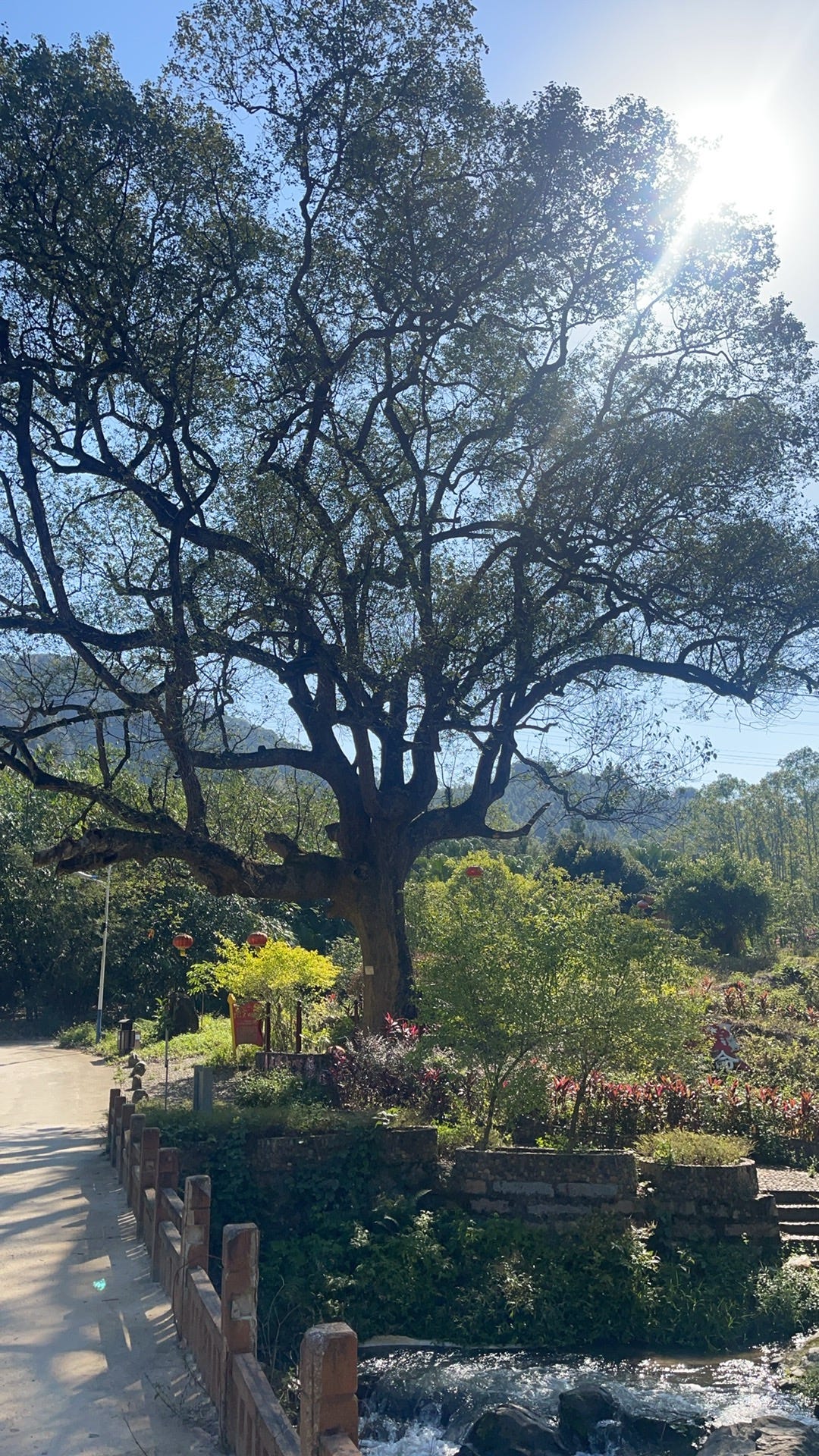 My 3-day Darkness Retreat Experience, and Beyond | by Yappo Wong | Medium