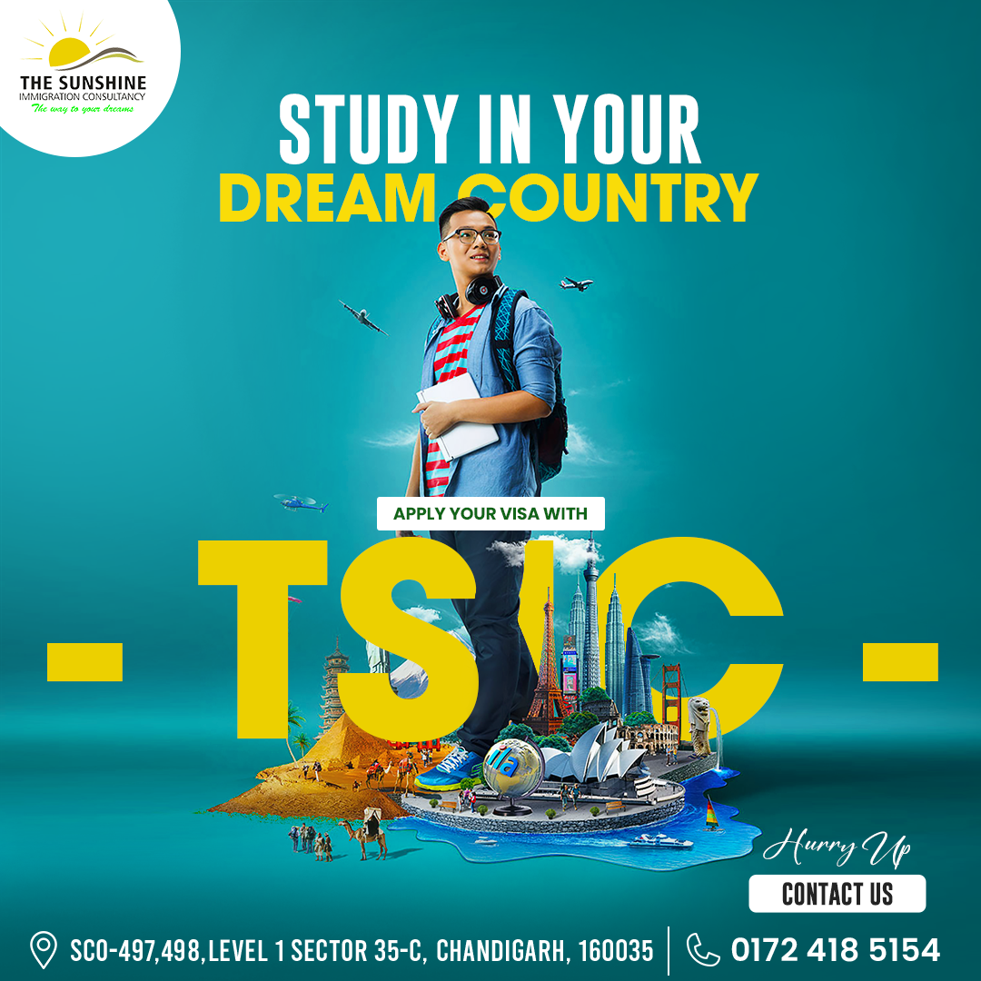Streamlining the Process: How Study Visa Services Can Simplify Your ...