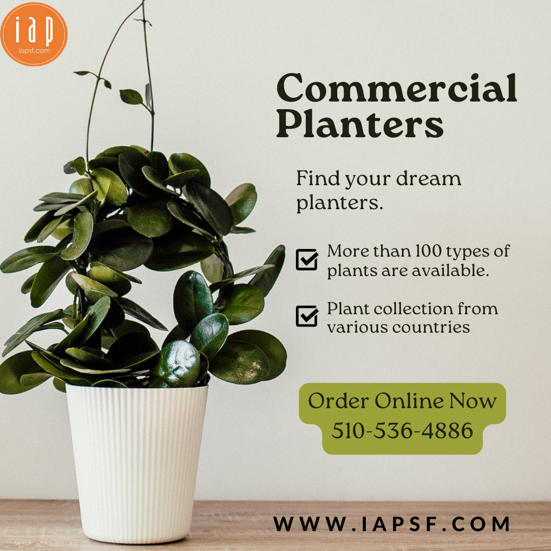 Commercial Planters | Manufacturer | IAP - IAPSF - Medium