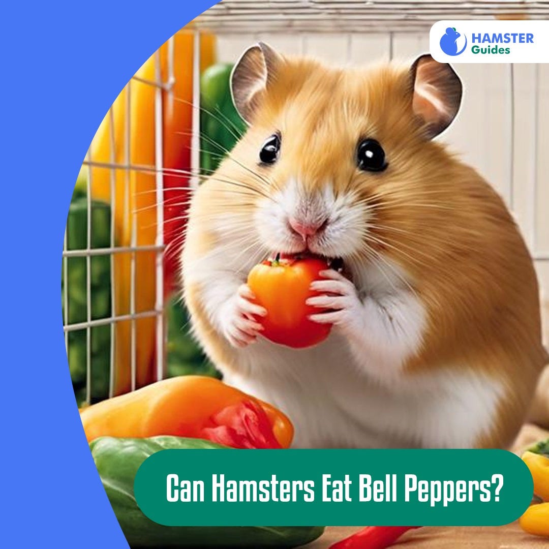 Can Hamsters Eat Bell Peppers? - Hamster Guides - Medium