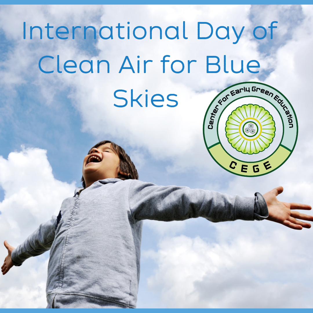 International Day of Clean Air for Blue Skies: A Call for Collective ...