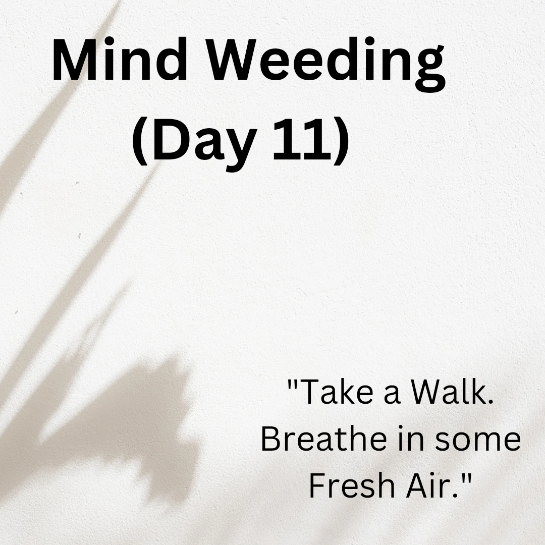 Day 11 — The Mind Weeding Series. - Scholastica Ebosetale - Medium