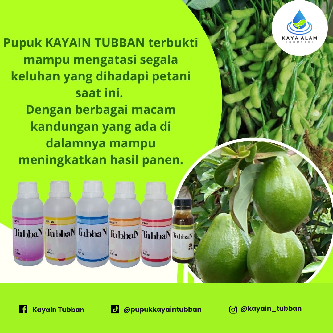 PUPUK KAYAIN TUBBAN, PUPUK ORGANIK SEMUA TANAMAN - Kayain Tubban - Medium PUPUK KAYAIN TUBBAN, PUPUK ORGANIK SEMUA TANAMAN - Kayain Tubban - Medium