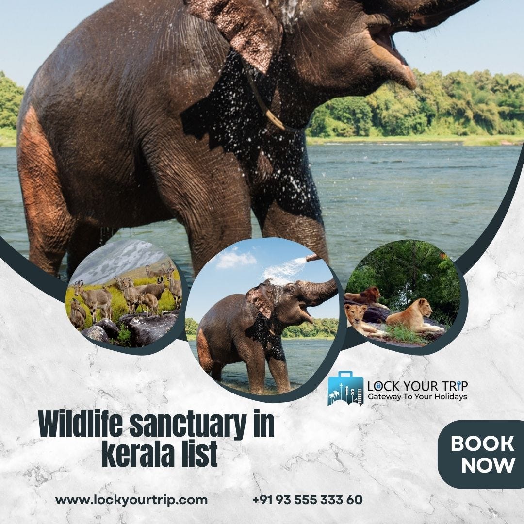 Exploring the Untamed: Animals Found in Kerala’s Wildlife Sanctuaries ...