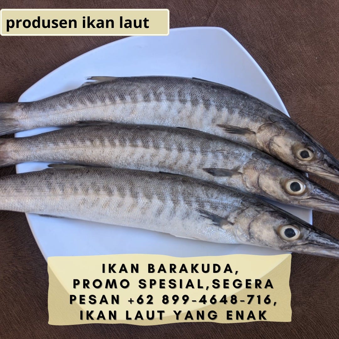 PROMO AWAL BULAN, SEGERA PESAN +62 899-4648-716, ikan laut dalam. | by ...