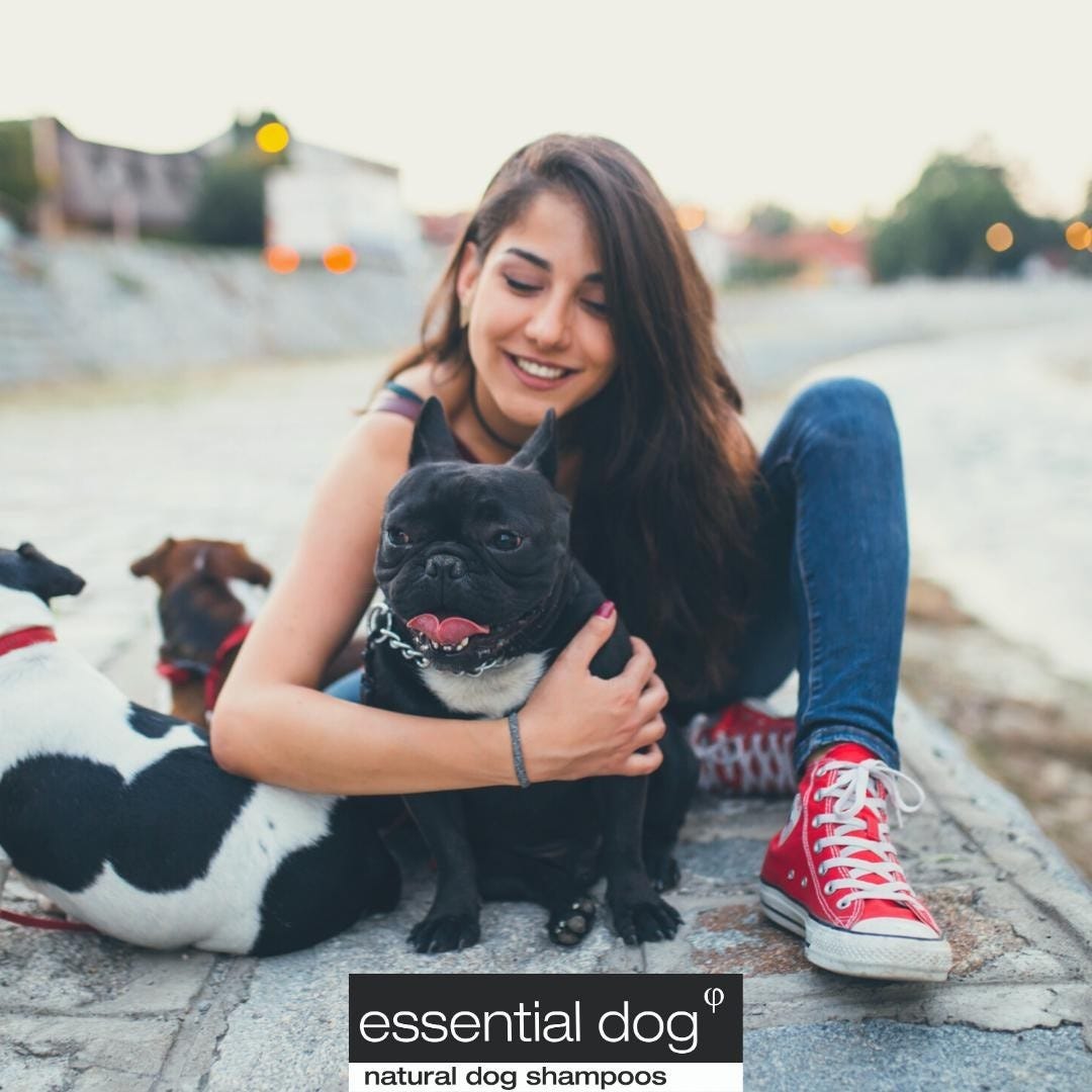 How To Alleviate Your Dogs Itchy Skin This Summer | by Essential Dog ...
