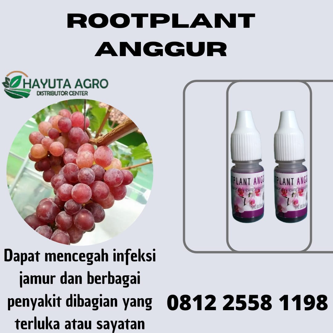 ORGANIK!! CALL! 0812-2558-1198, JUAL pupuk organik anggur Karangasem ...