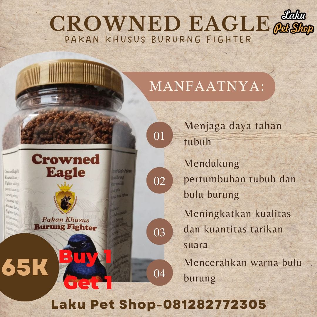 TERMURAH, Call 0812–8277–2305, Pakan Burung Juara, Crowned Eagle | by ...