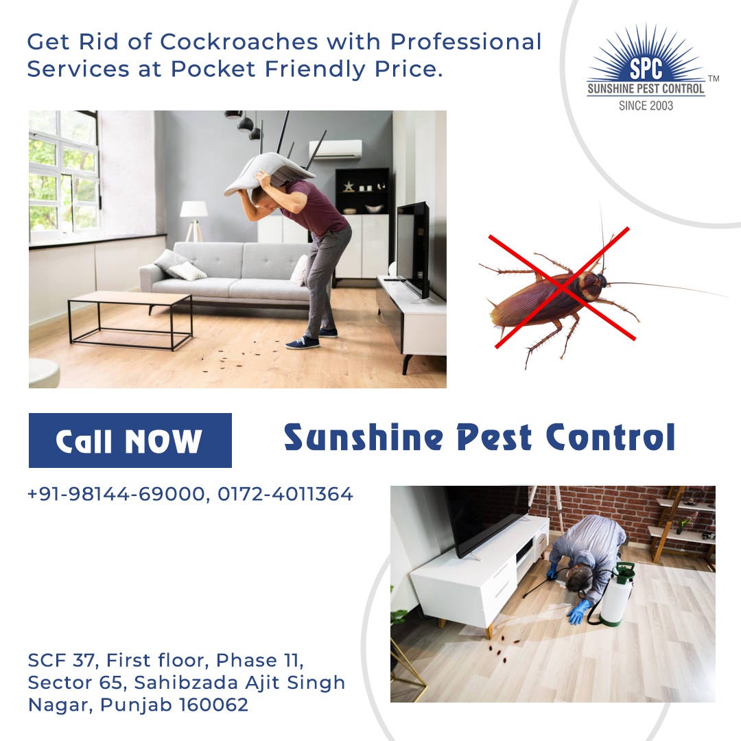 Get rid of cockroaches with professional services at pocket friendly ...